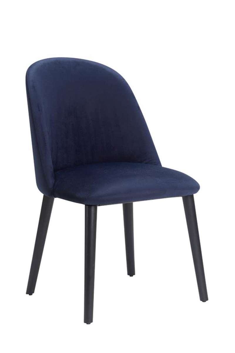Melody Side Chair - Style & Finch