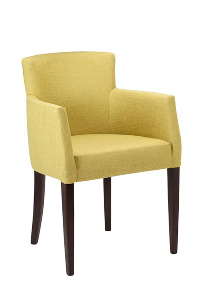 Sabrina Armchair - Style & Finch